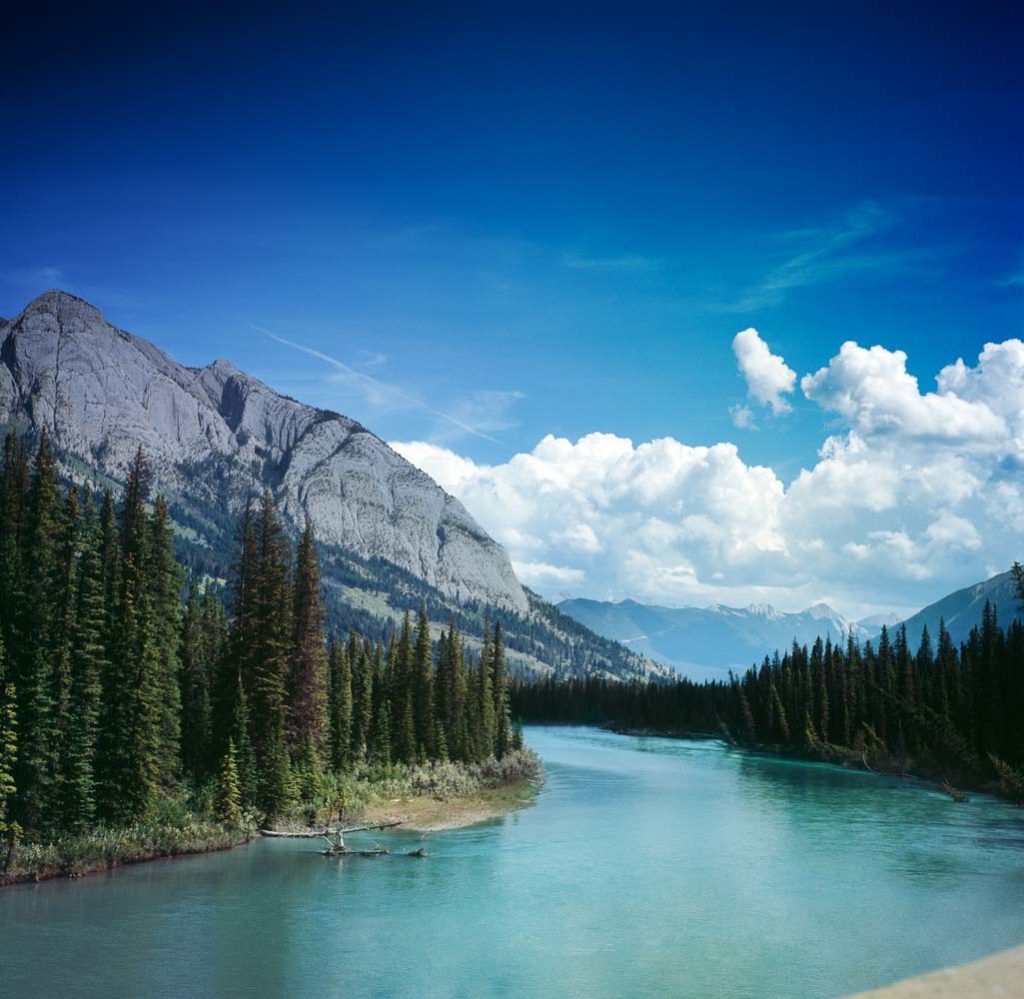 DD Nature – ImagingTree.com